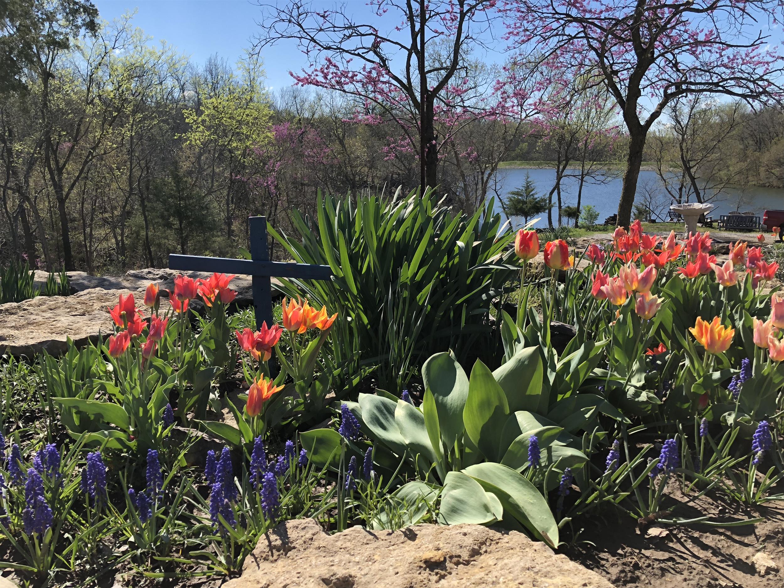 The Sundance Ranch| Rustic Guest Ranch| Excelsior Springs, MO